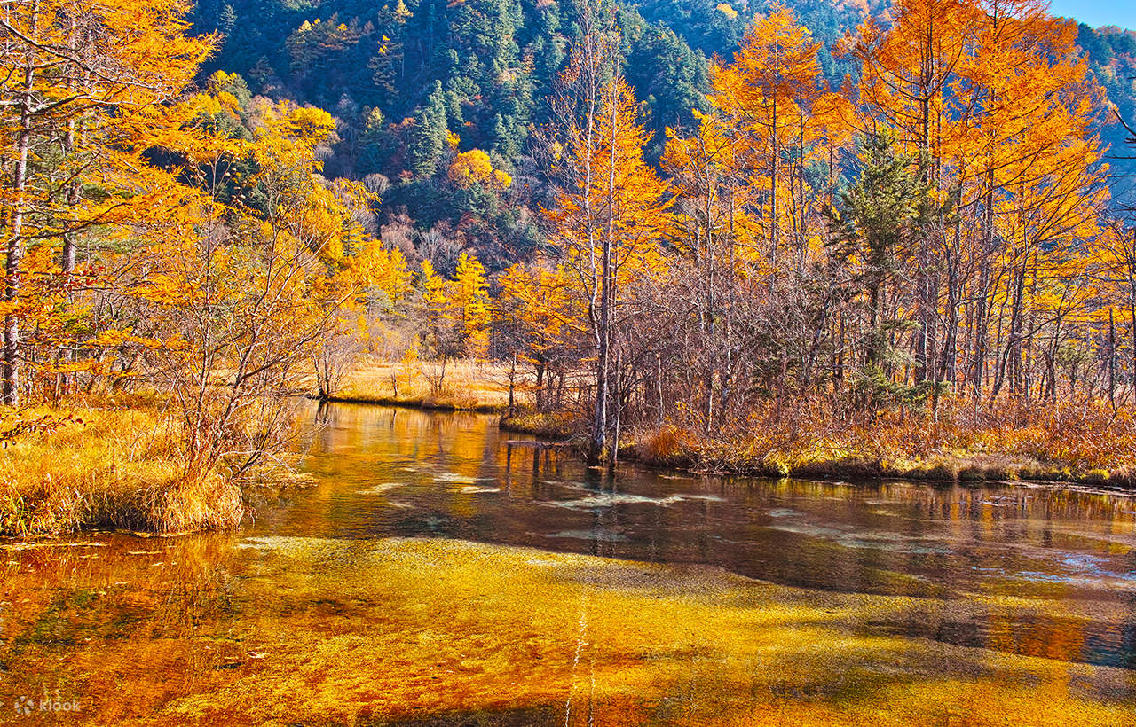 [Nagoya Kamikochi Hiking Tour] Kamikochi & Taisho Pond & Tashiro Pond ...